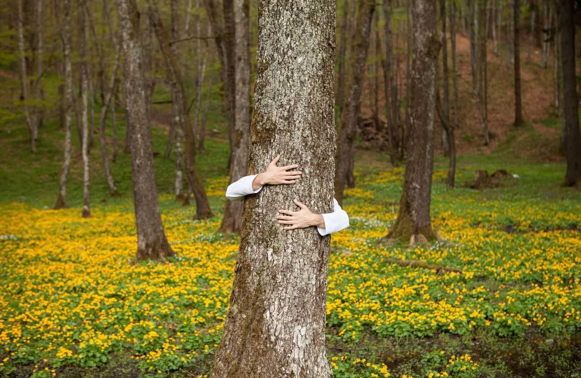 „Bei sich bleiben“ – Wie geht das eigentlich?